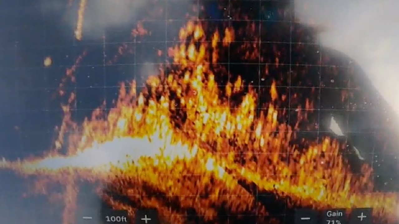 I Didn't Realize These Fish Were This Big