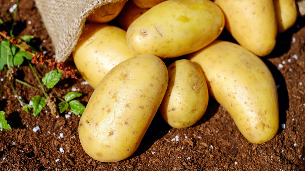 9 health benefits of potatoes (backed by science)