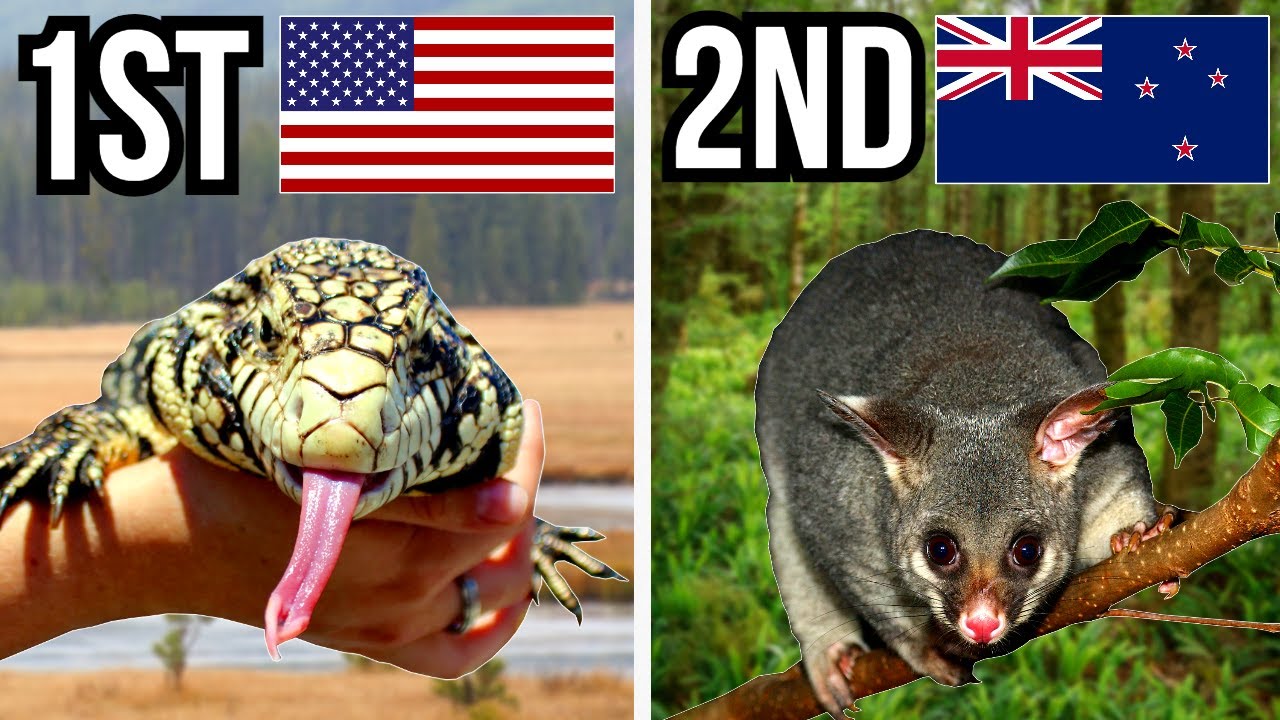 5 Countries With The Most Invasive Species