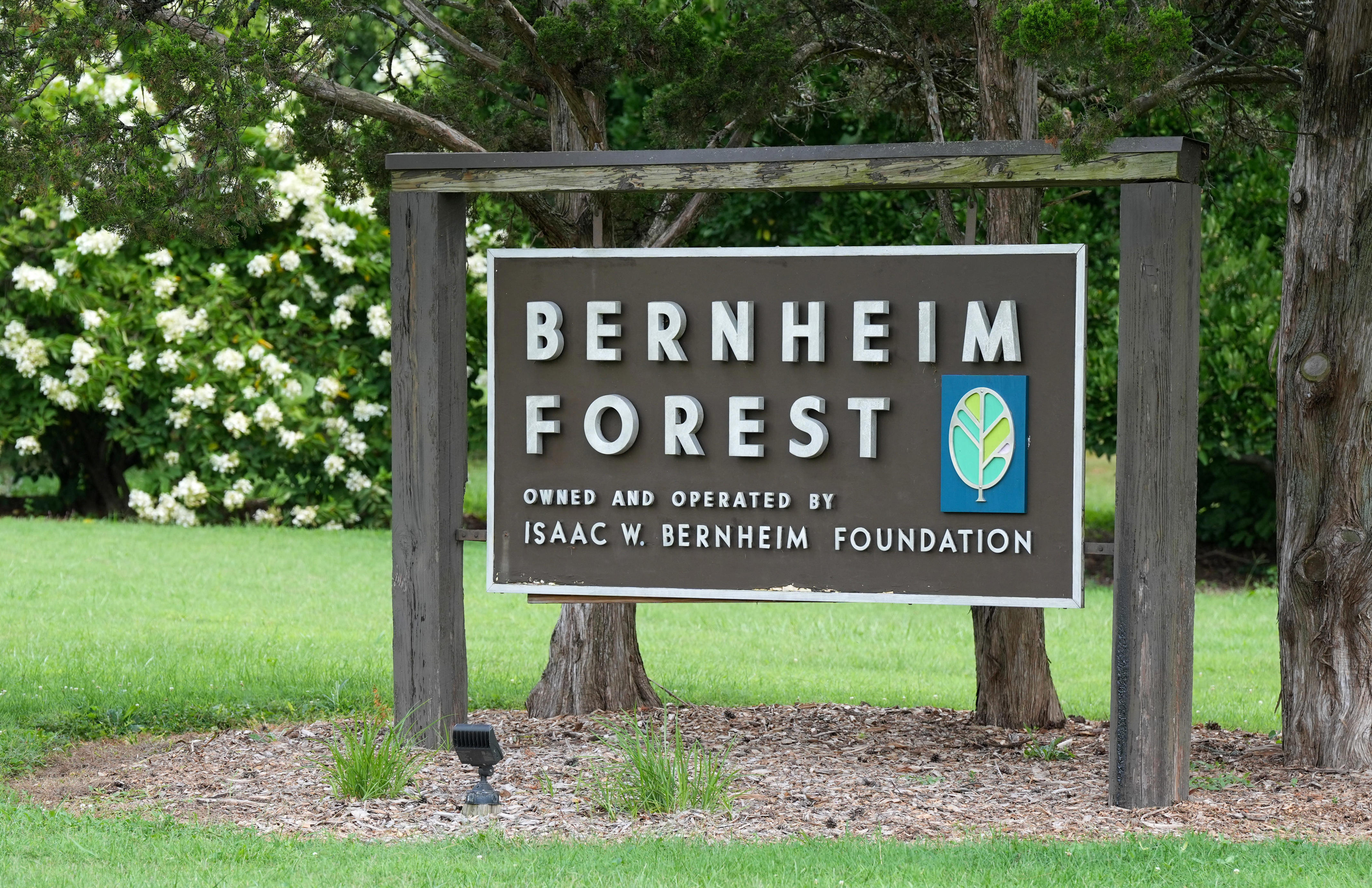 HGTV says Bernheim Forest and Arboretum is home to the 'most beautiful ...