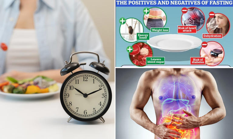 Fascinating simulation shows what a 24 hour fast does to the body