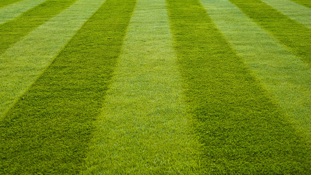 How To Get Stripes In Your Lawn