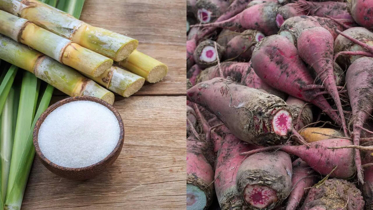 Cane Sugar vs Beet Sugar: Which one is better for your health