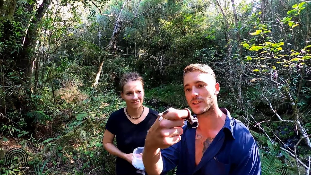 Quantum Chat with Dr. Marais