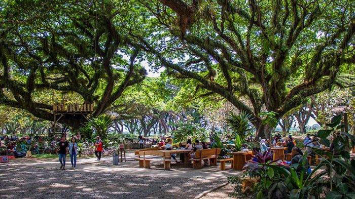 Itinerary Banyuwangi Sehari Penuh Bujet Mulai Rp 430 Ribuan,Cocok untuk ...