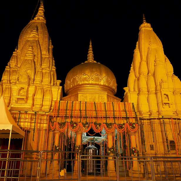 White Owl Spotted on Kashi Vishwanath Temple, Did Maa Lakshmi Visit Kashi?