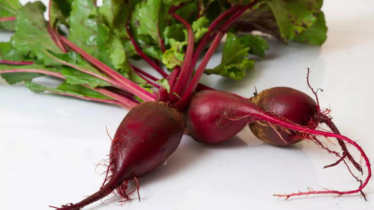 Cane Sugar vs Beet Sugar: Which one is better for your health