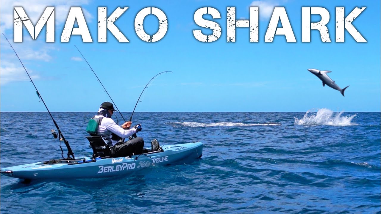 Kayak Fisherman Hooks a 400lb Mako Shark in New Zealand - Insane Catch ...
