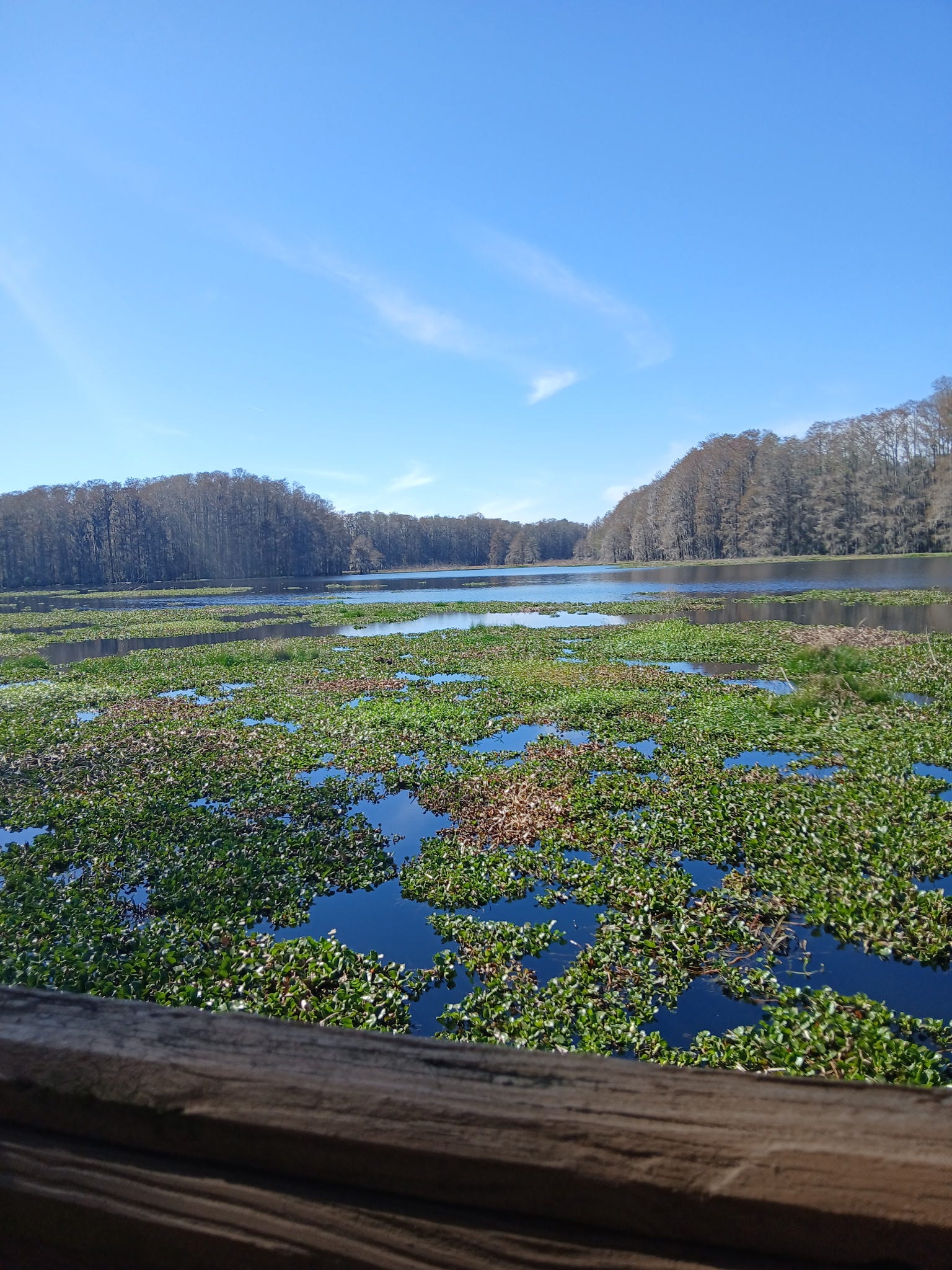 'All on the same page': Lake Munson advocates 'feel heard' after county ...