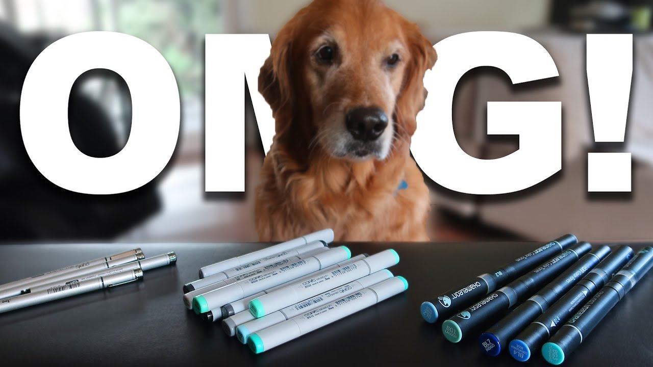 My dog picks my art supplies!