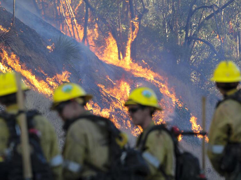 Lawsuit alleges Edison hid its role in 2019 Sylmar wildfire