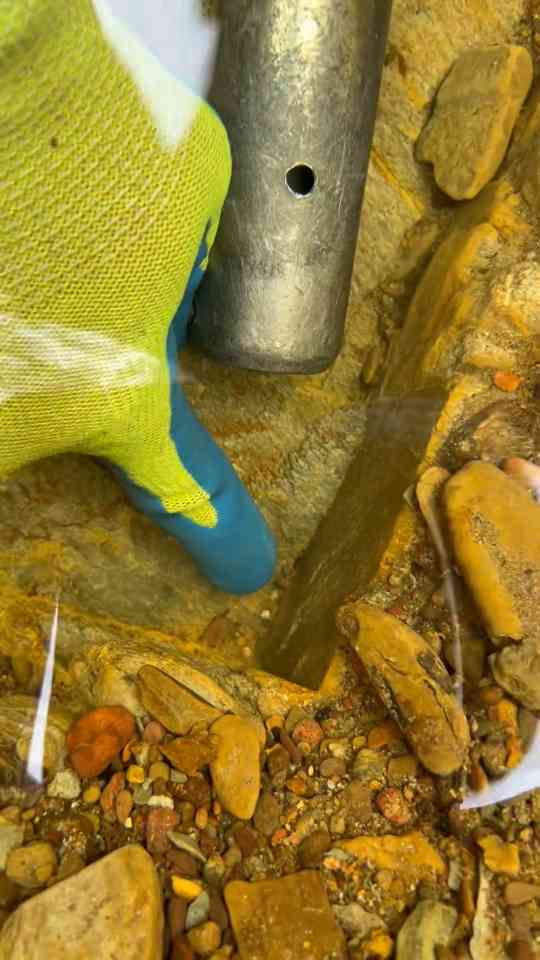 Epic Gold Hunting Adventures