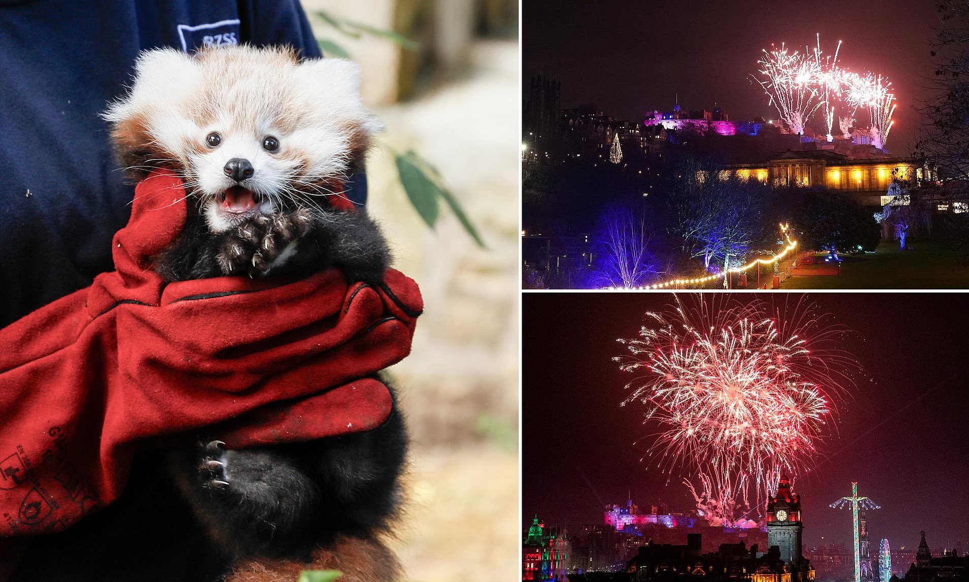 Labour council bans locals from using fireworks on Bonfire Night after ...