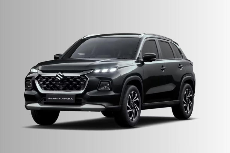 Maruti Suzuki Grand Vitara Gets New Color Options For Sigma, Delta Variants