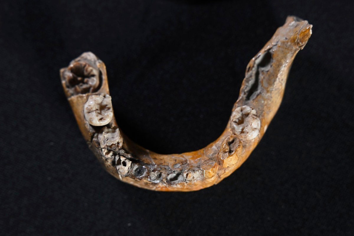 What the bones of an ancient child reveal about inbreeding between ...