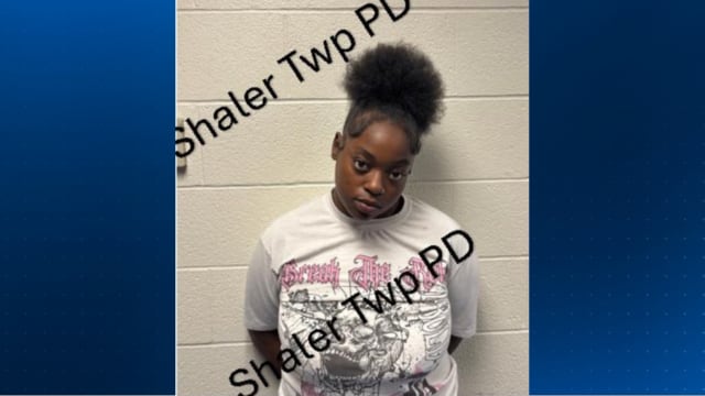 3 teens taken into custody after stolen pickup truck found in Shaler ...