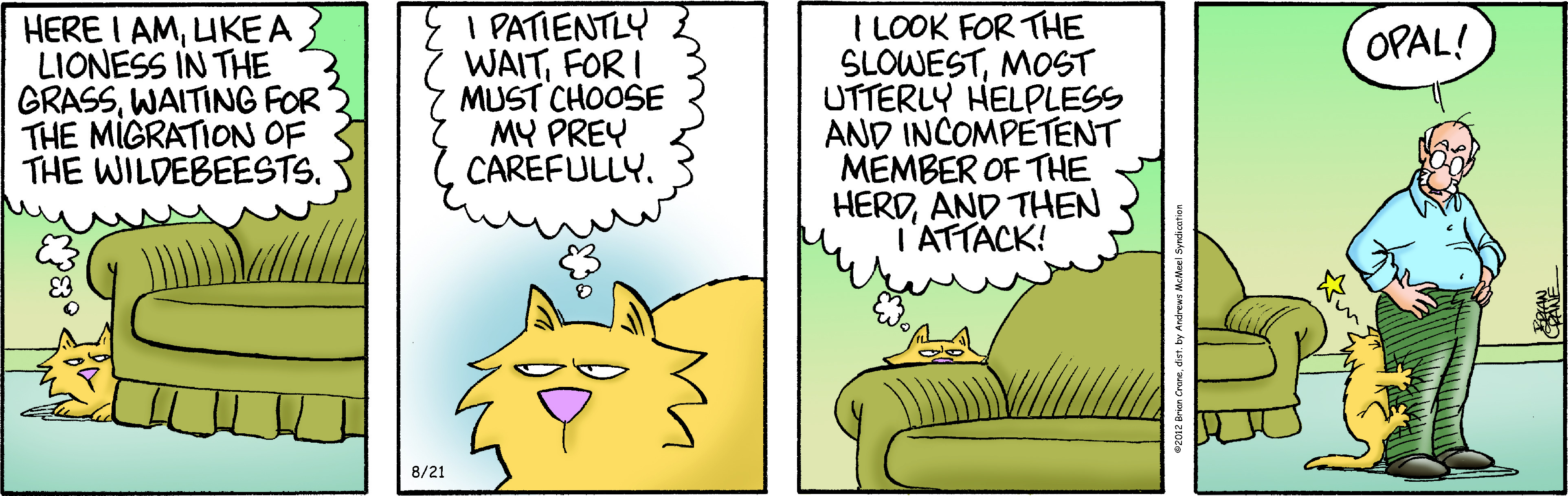 Pickles by Brian Crane