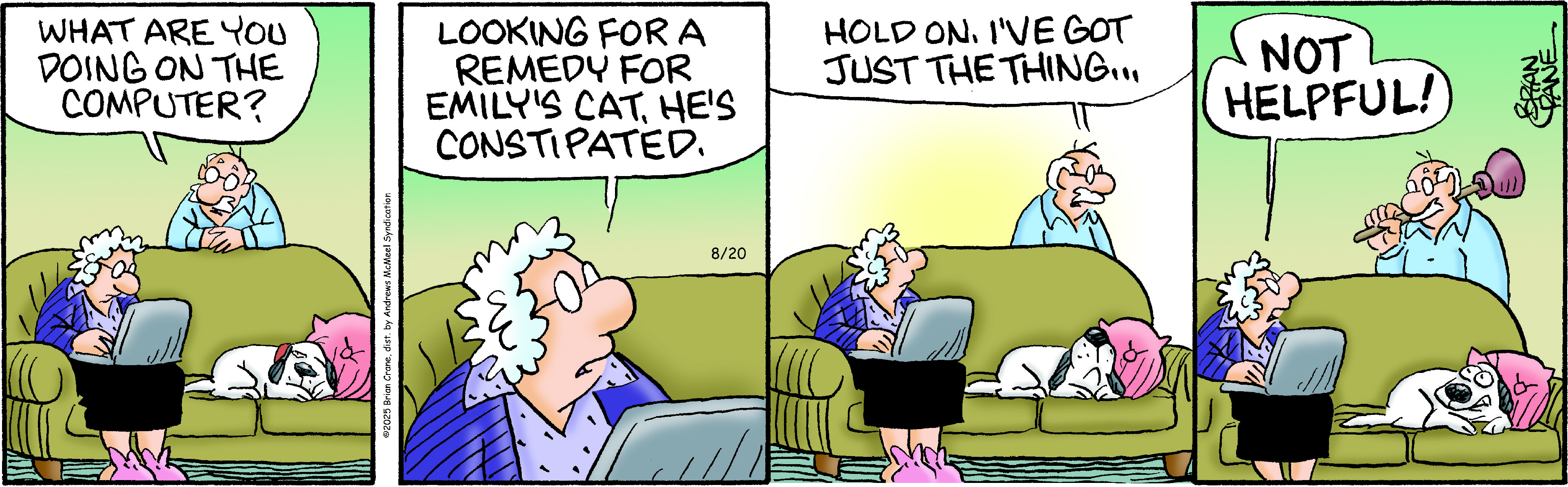 Pickles by Brian Crane