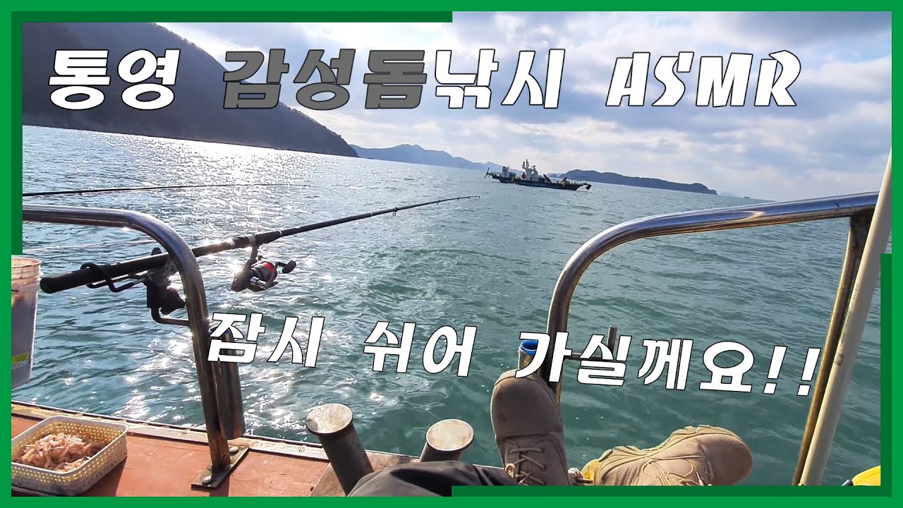 통영 바다 선상낚시 중… ASMR 힐링 타임, 잠시 쉬어가세요