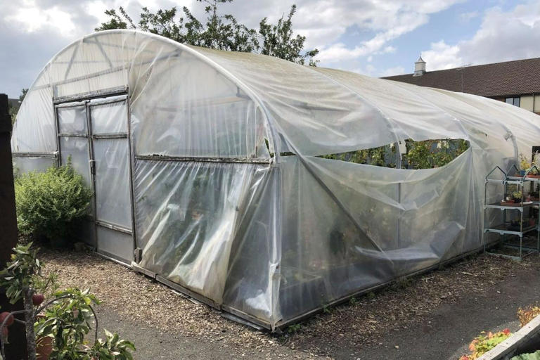 Polytunnel fundraiser for Bedlington Community Allotment following ...