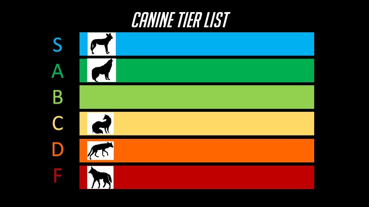 From Huskies to Hounds: The Ultimate Dog Tier List