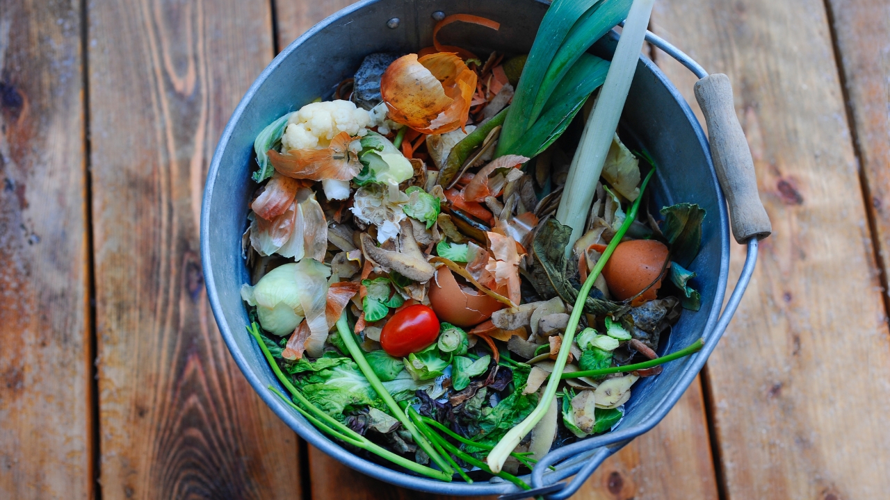 What You Should Keep Right Outside the Chicken Run