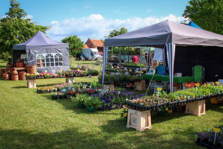 Scampston Walled Garden Autumn Plant Fair