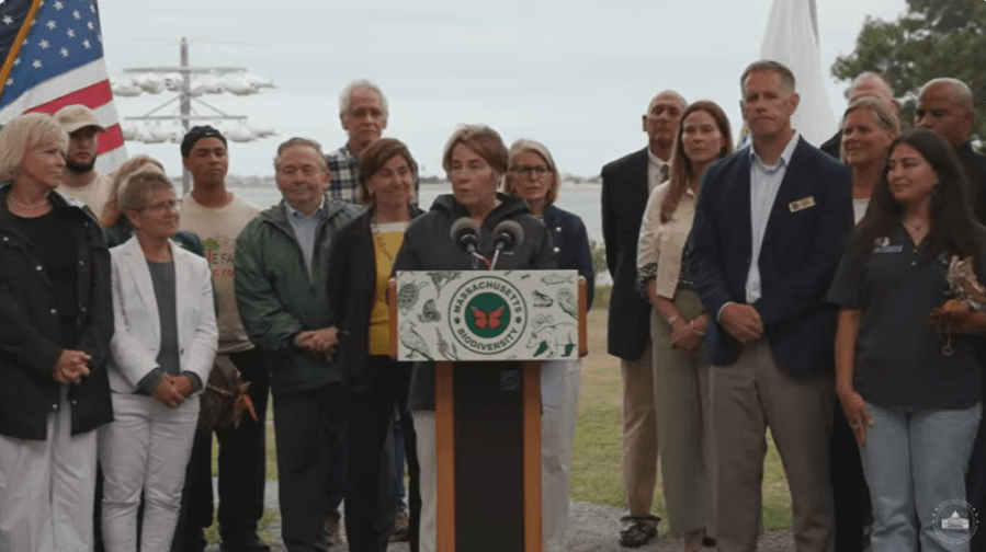 Healey plan would double pace of land protection
