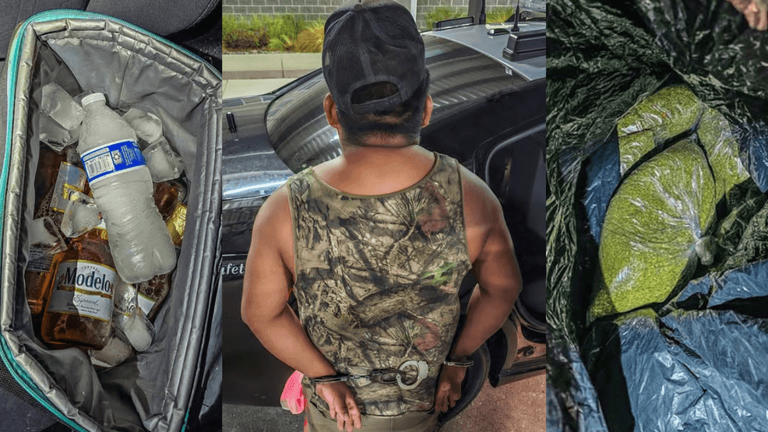 Man arrested for DUI & 20lbs of pot after caught peeing on side of highway