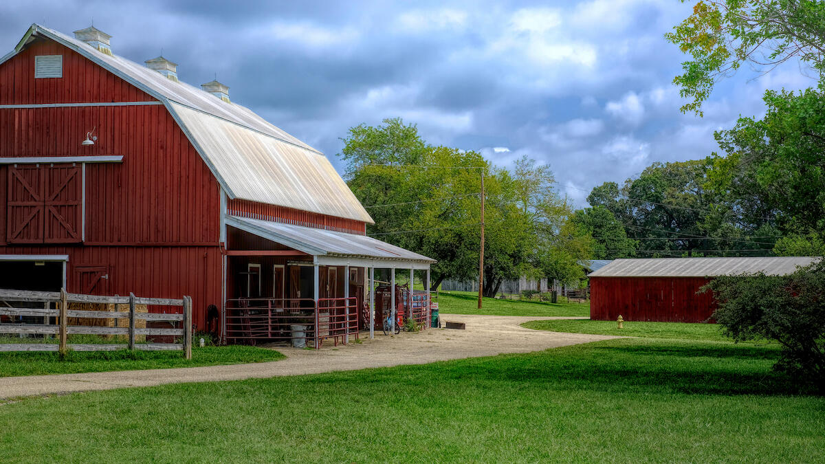 6 Dead After Freak 'Dairy Accident' At US Farm