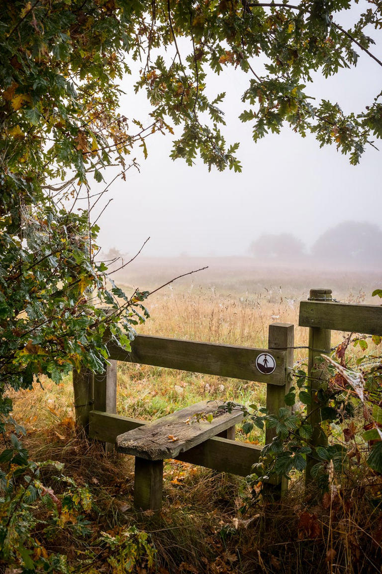 Autumn equinox: When does autumn start in the UK?