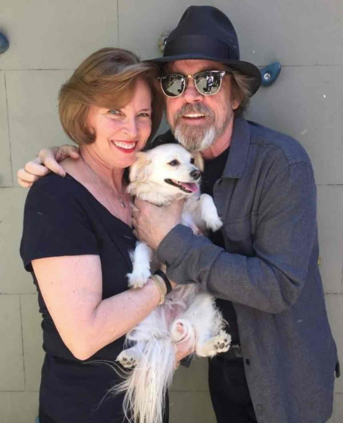 Mark Hamill afslører, at han overvejede at forlade USA efter Donald ...