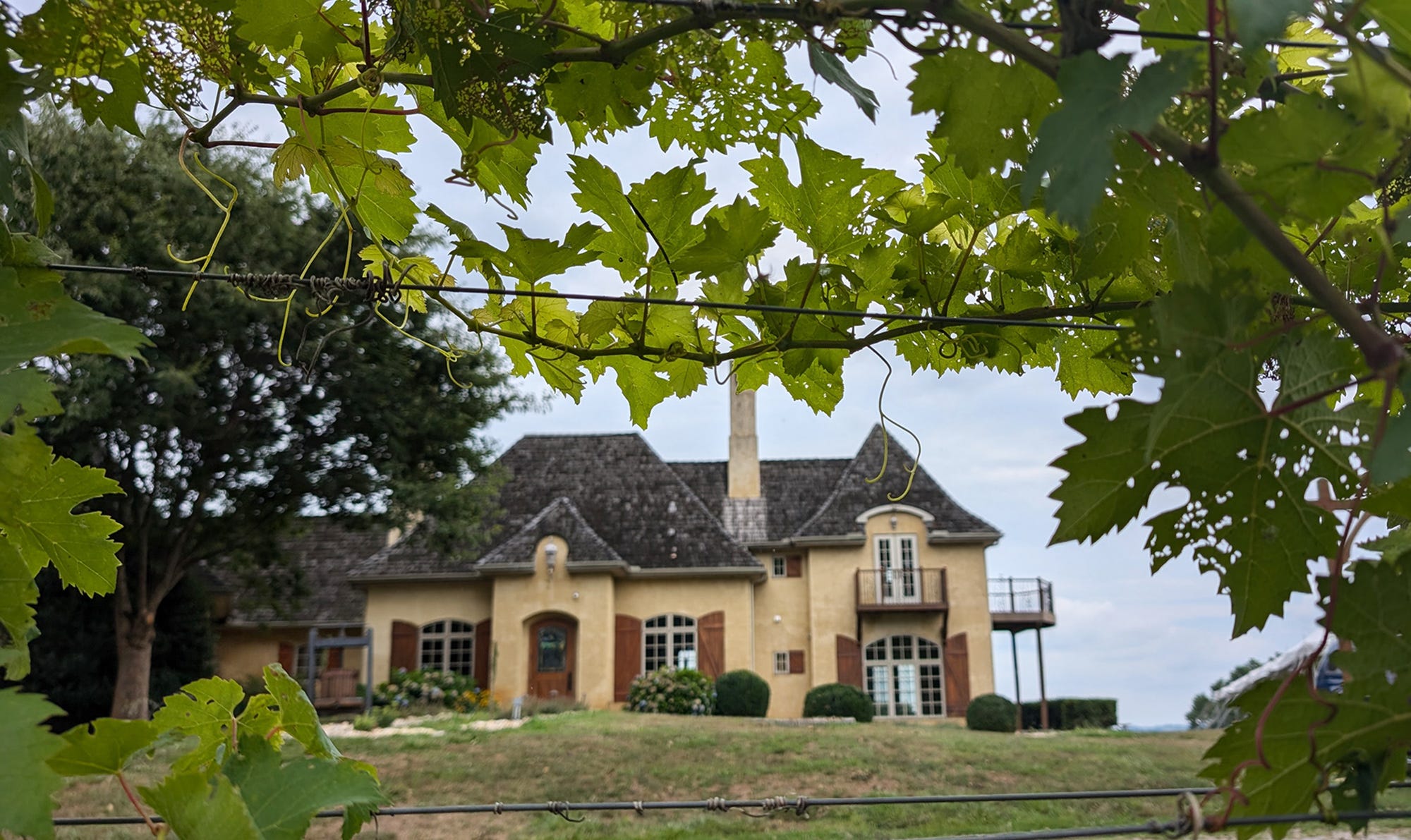 Moon Dancer Winery saga continues: Now it's open again after PA Supreme ...