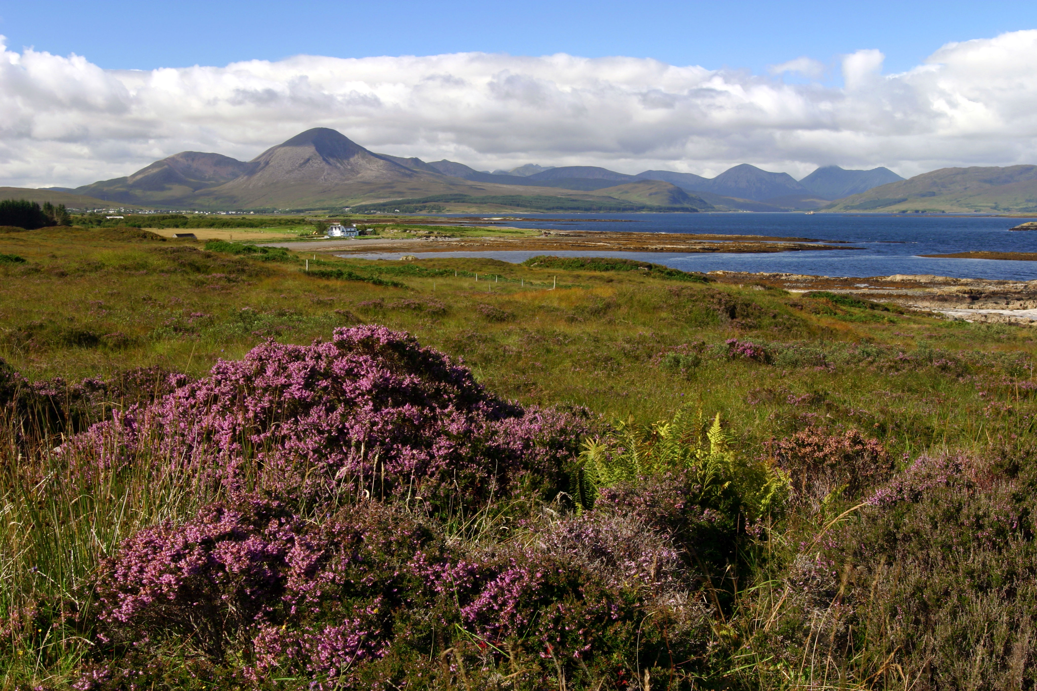 How to bag one of 100 free tickets for Scottish Highlands gig at 'top ...