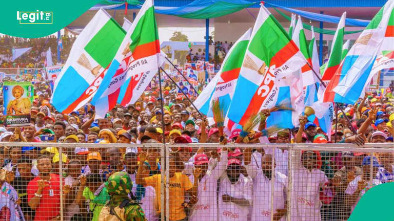Jubilation as winner emerges in Zamfara state constituency election