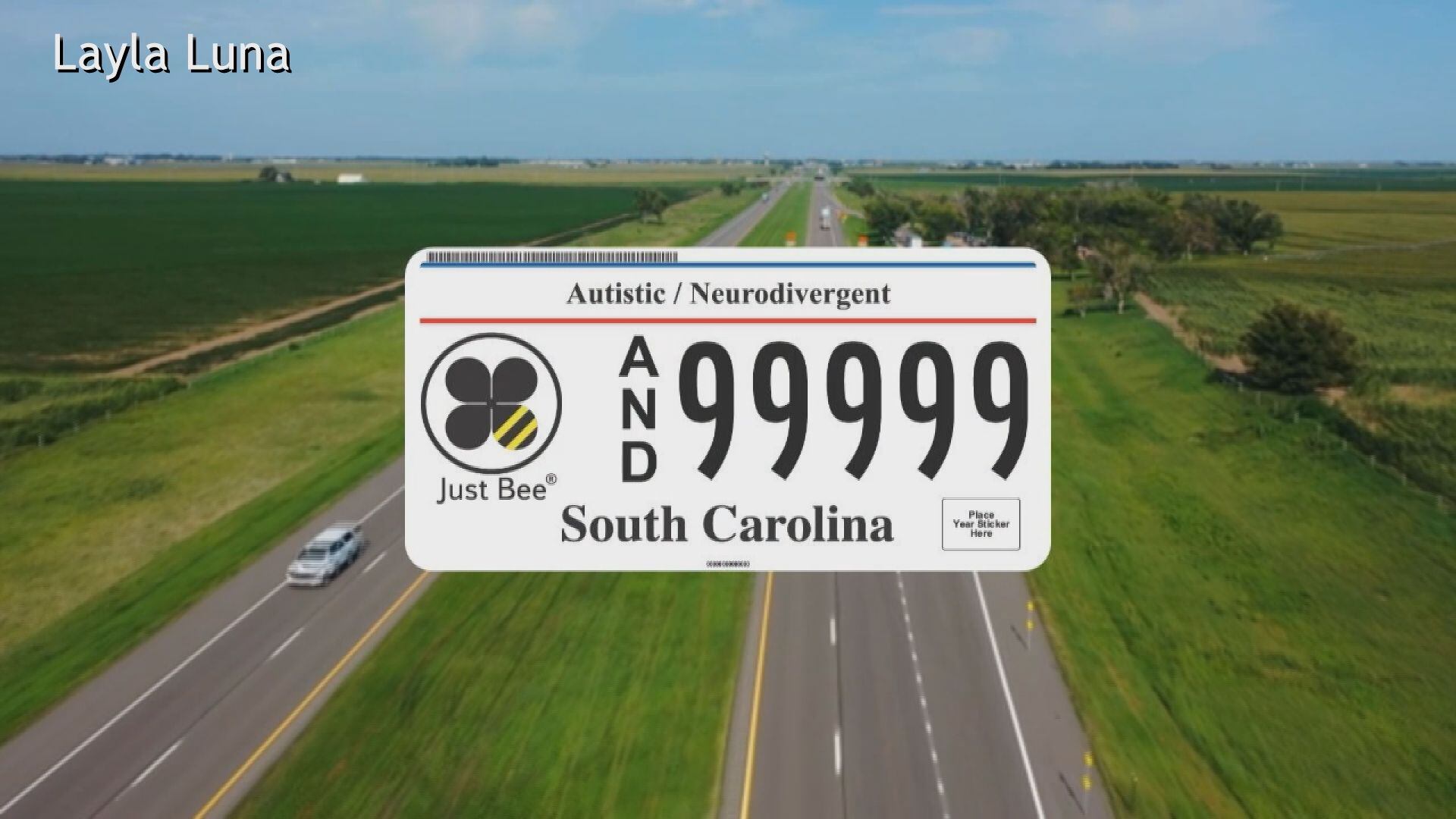 ‘Just Bee’ SC license plate aims to improve safety for individuals with ...