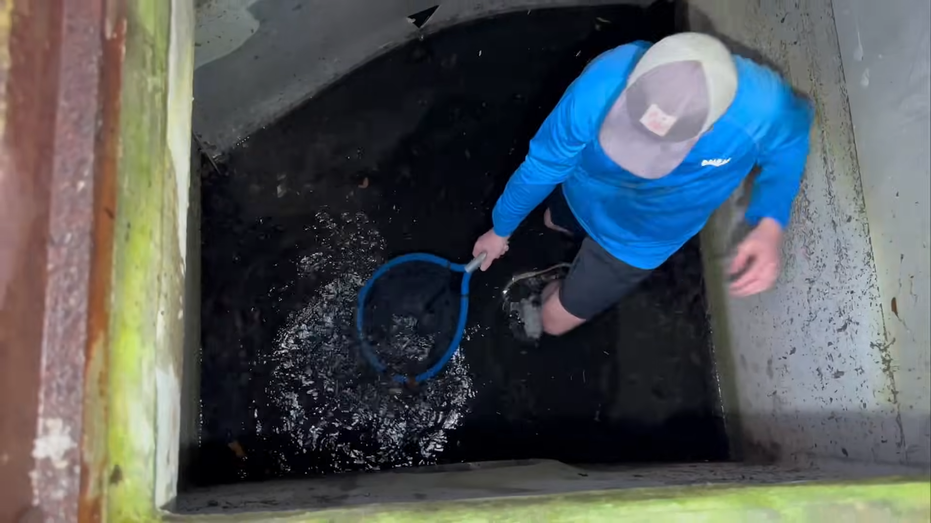 Saving Monster Aquarium Fish From a Flooded Sewer - Unbelievable Rescue