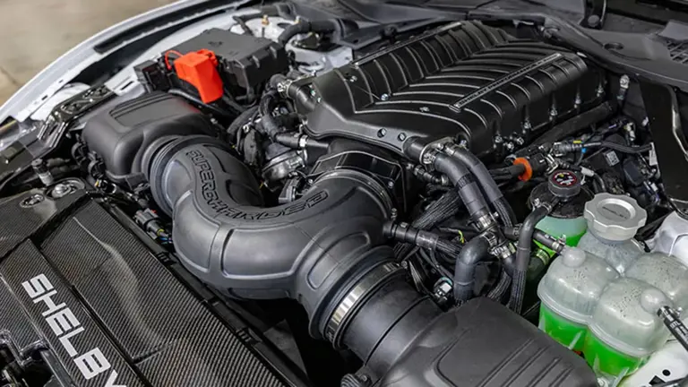 Shelby’s 850-HP Super Snake-R Puts a Manual Back at the Top of the ...