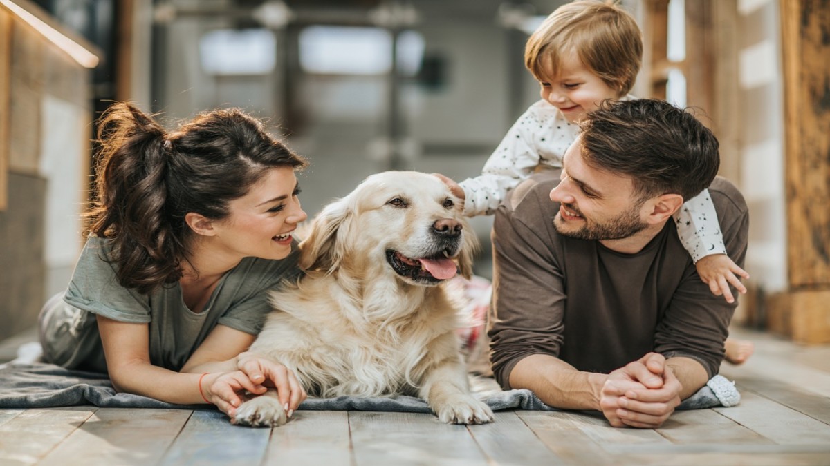 5 Sweet Signs Your Dog Feels Like Part of Your Family, Experts Say
