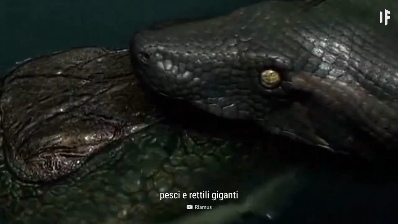Il re degli oceani contro il mostro delle paludi