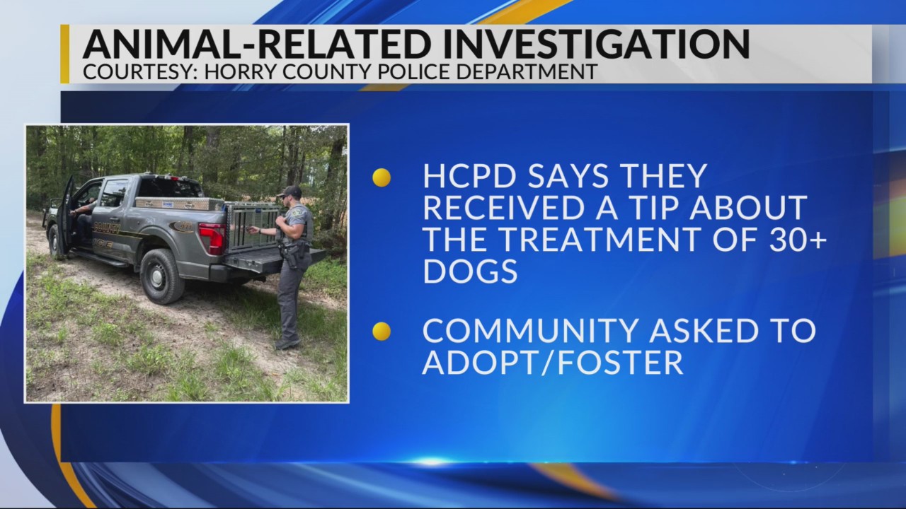 Horry County police investigate after tip about treatment of 30+ dogs