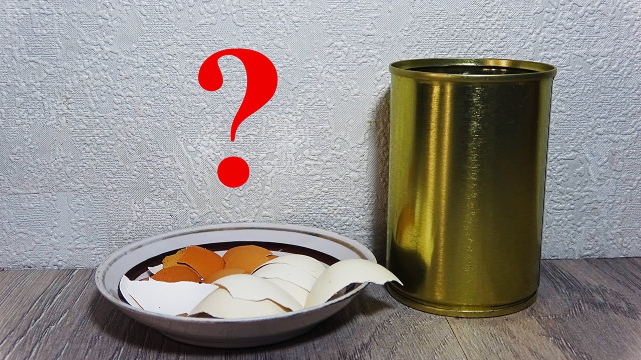 Eggshell Upcycled into Home Decor