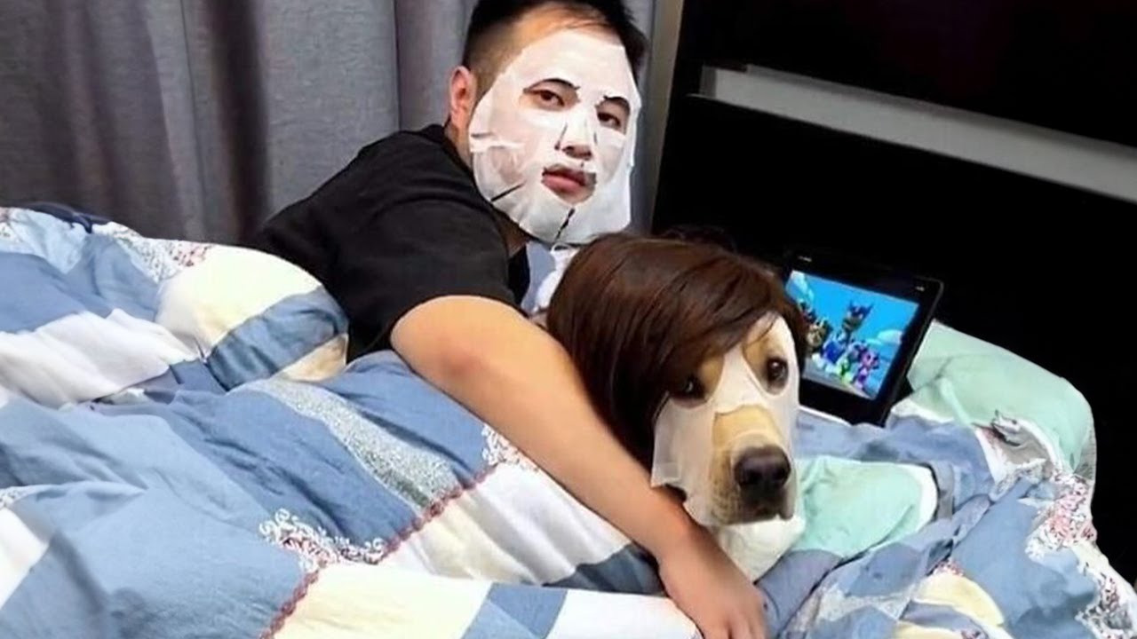 Dogs prove every day why they truly are man’s best friends