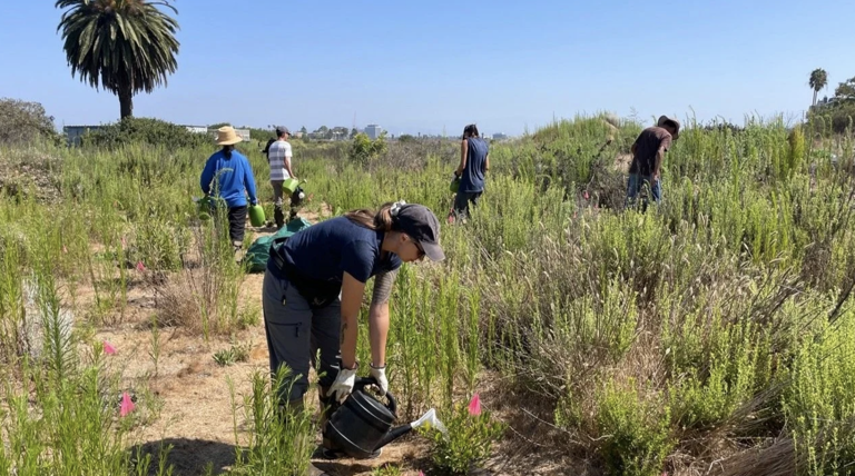 Pardee Properties Spotlights Friends of Ballona Wetlands in 20/20 Giving Program
