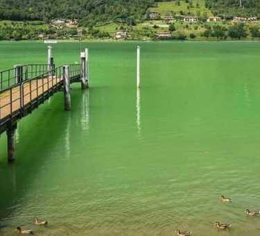 Lago color verde scuro? Colpa del riscaldamento globale