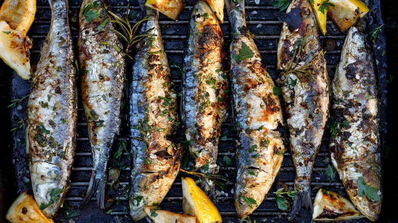 15 Facts You Need To Know About Sardines