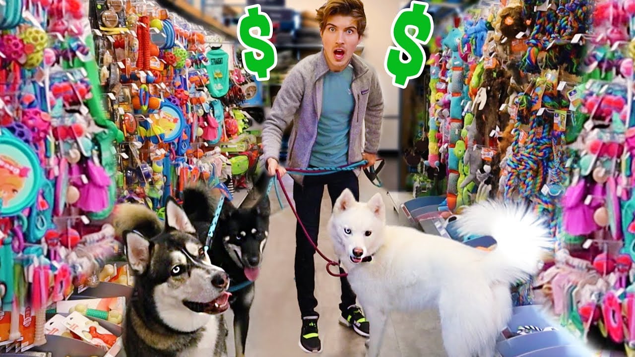 Buying my lucky dogs every single item they touch at the store