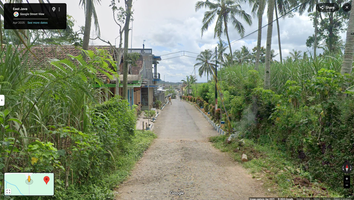 ‘Bent-toed' creature found lurking around Indonesia village. It's a new ...