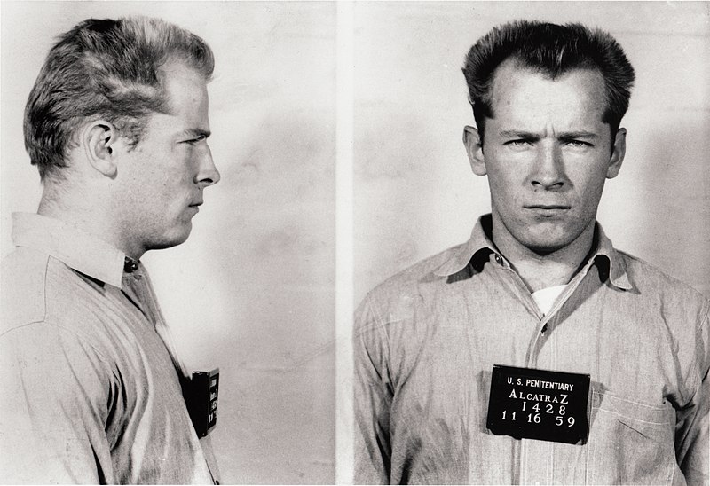 Organized Crime and Chaos: Gang Dynasties in America