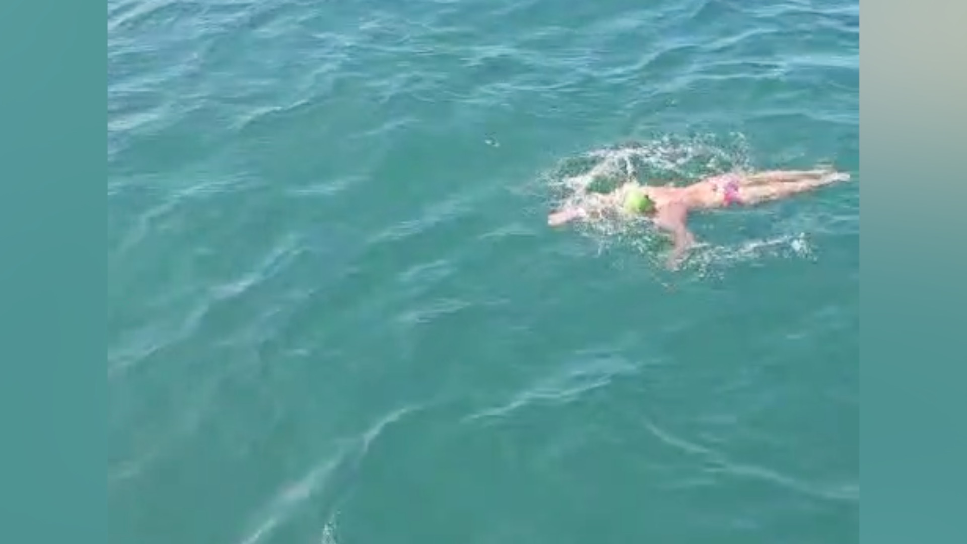 "I think they knew I was struggling!" Channel swimmer helped by pod of ...